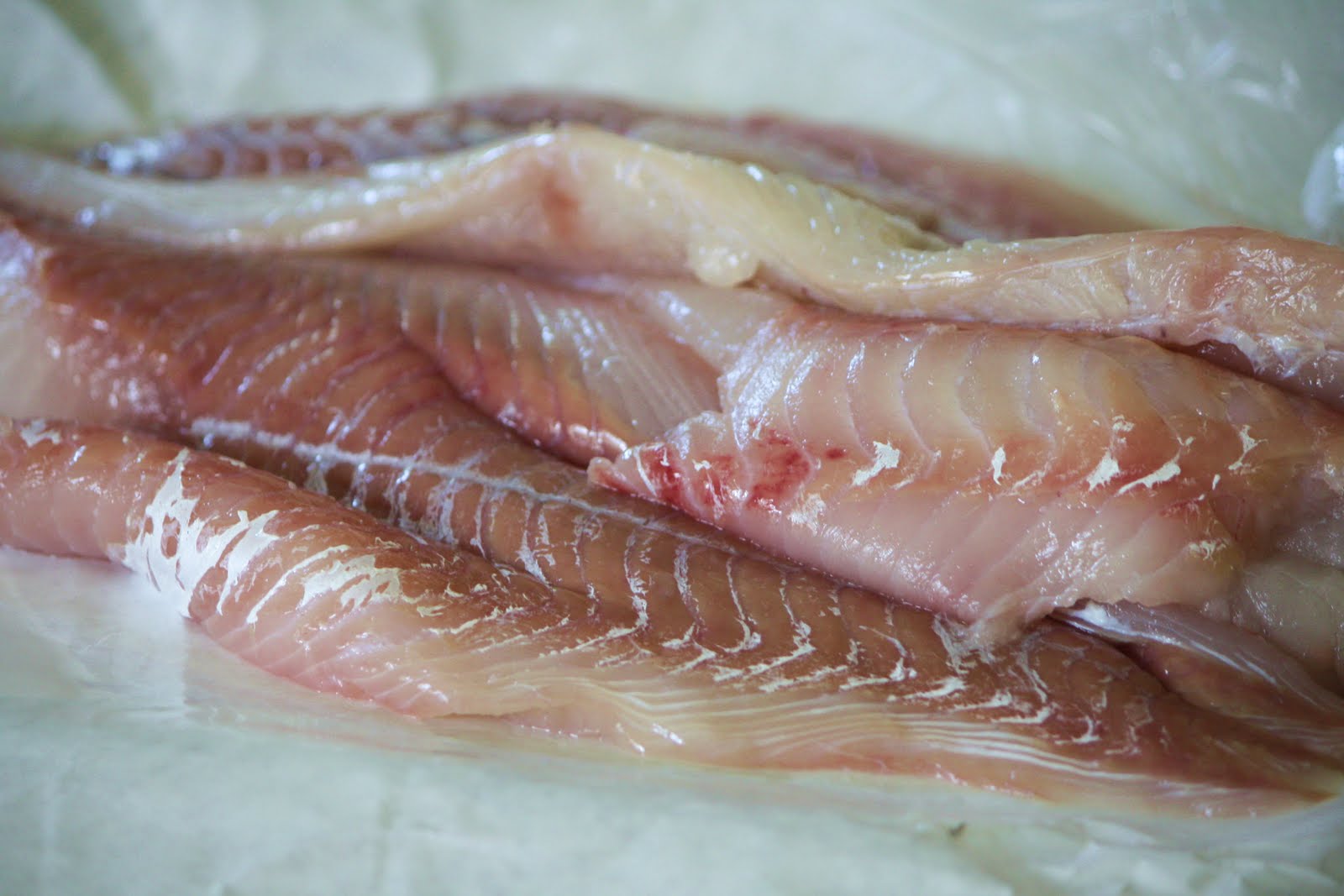 What's Cooking in your World?: Day 156! Saudi Arabia - Fish Kabsa with ...