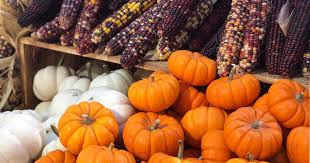 Heroes, Heroines, and History: Hurrah for the Pumpkin Pie!