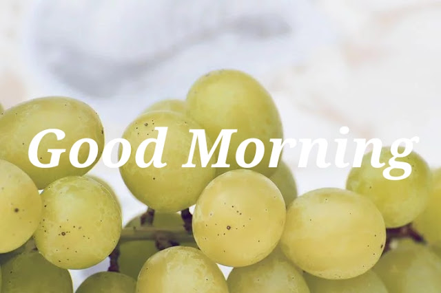 Top 10 Good Morning Images greating Pictures,Photos for Whatsapp ...