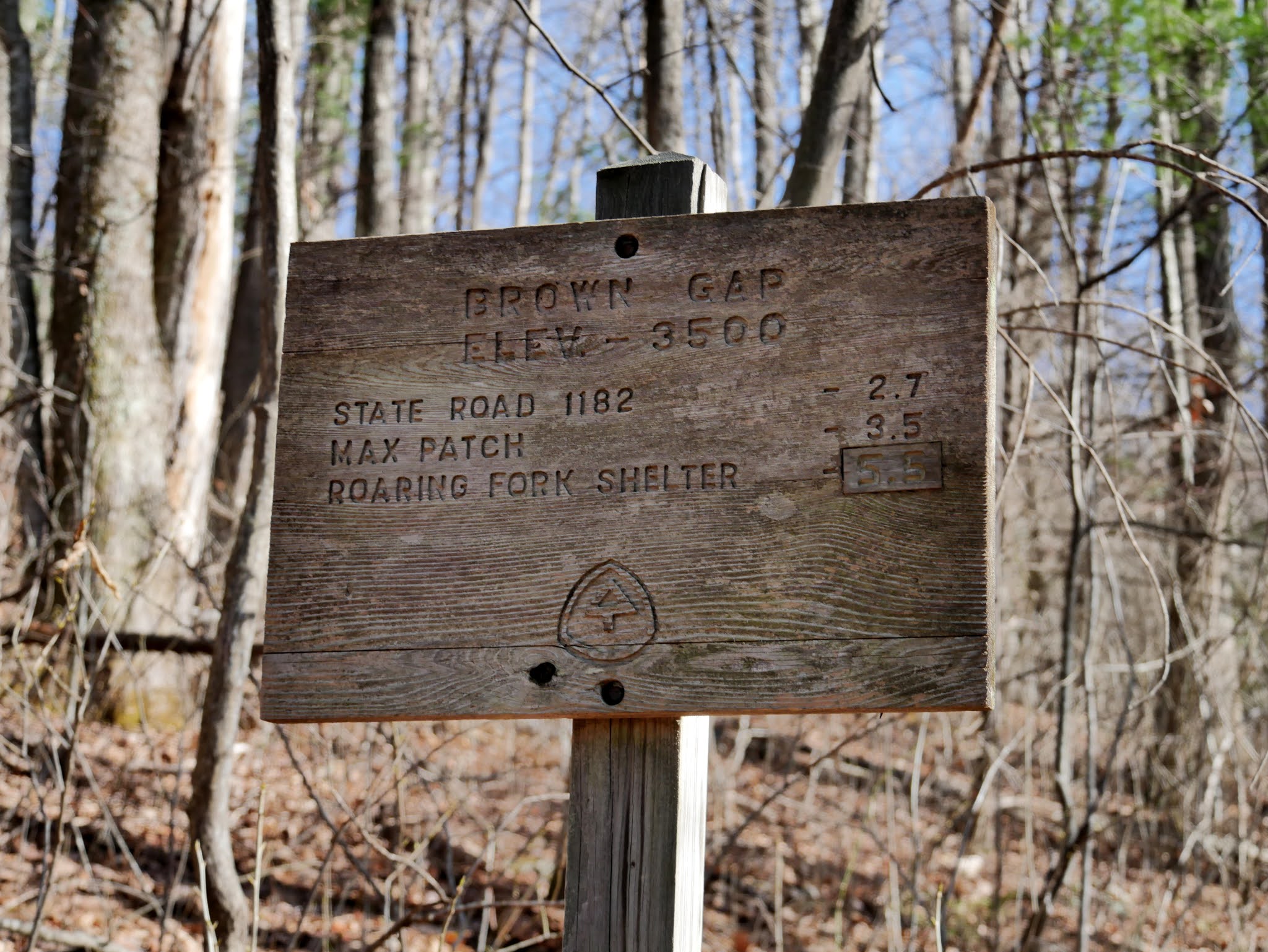 American Travel Journal: Brown Gap to Max Patch Road - Appalachian Trail