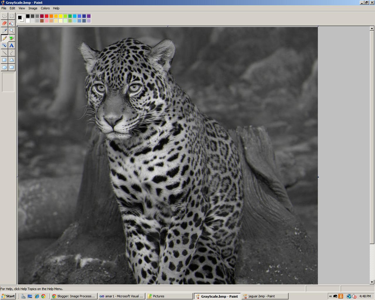 Image Processing: Converting a Color Image To Gray Scale