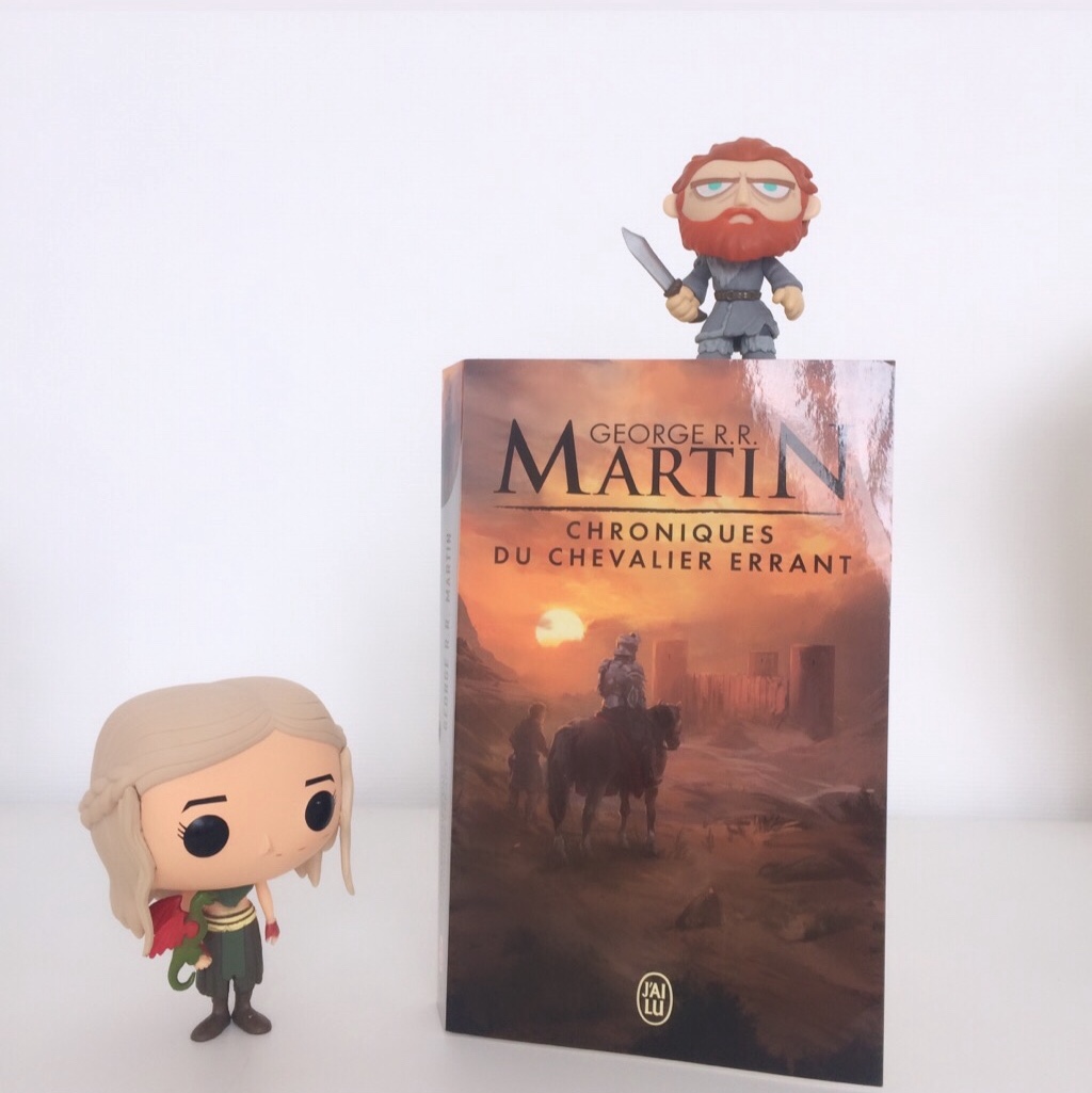 Chroniques du chevalier errant