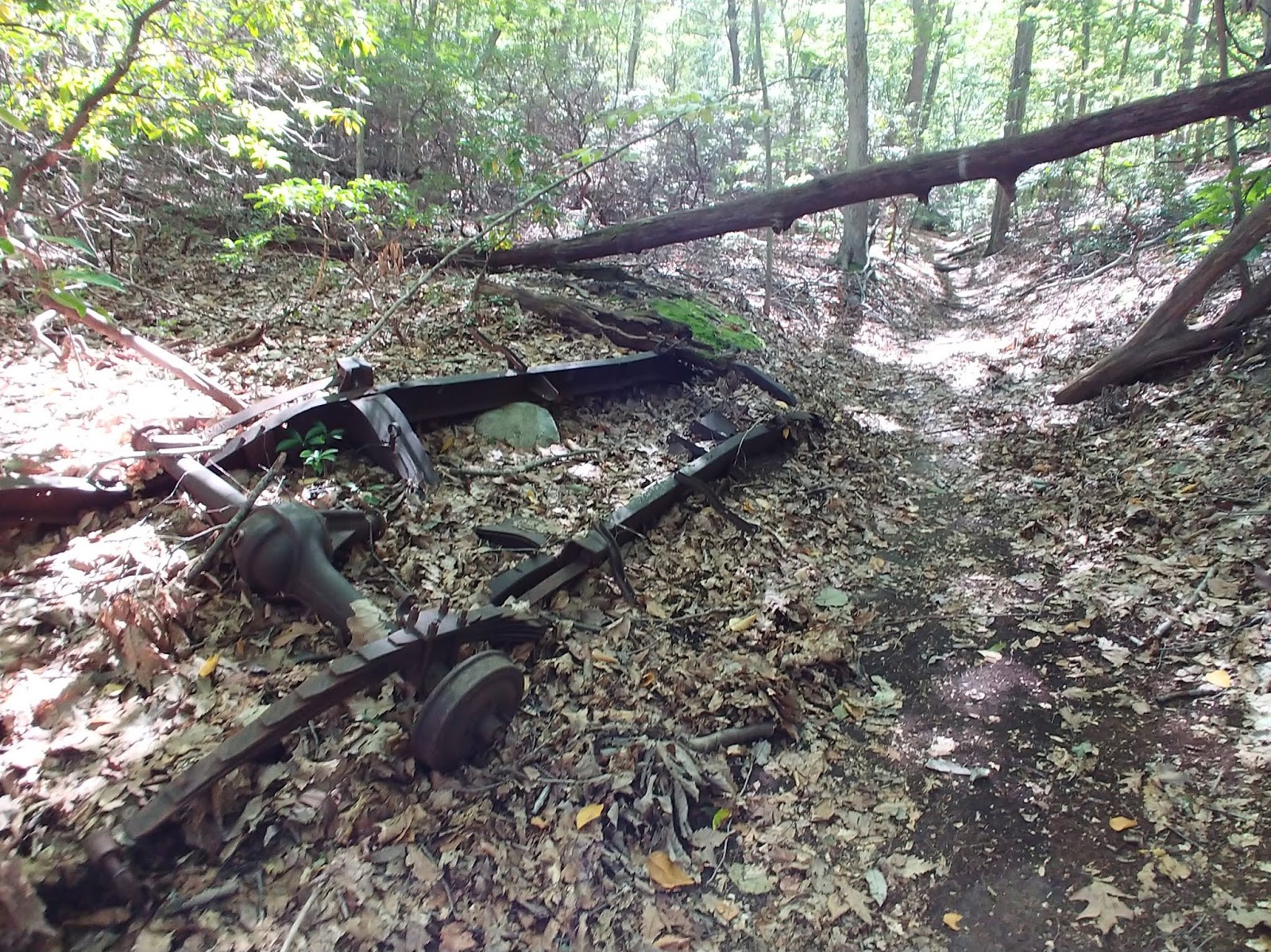 A Mike Who Likes to Hike