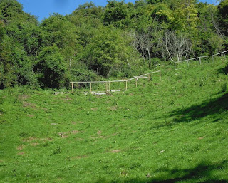 Birding in south-east England: Quarry Hangars NR, between Merstham and ...