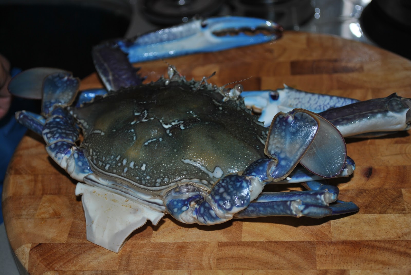 All that is GOOD about FOOD: How to cook a blue swimmer crab and two ...
