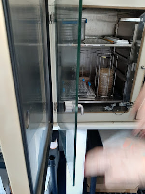 PRACTICA 21: SIEMBRA EN ANAEROBIOSIS