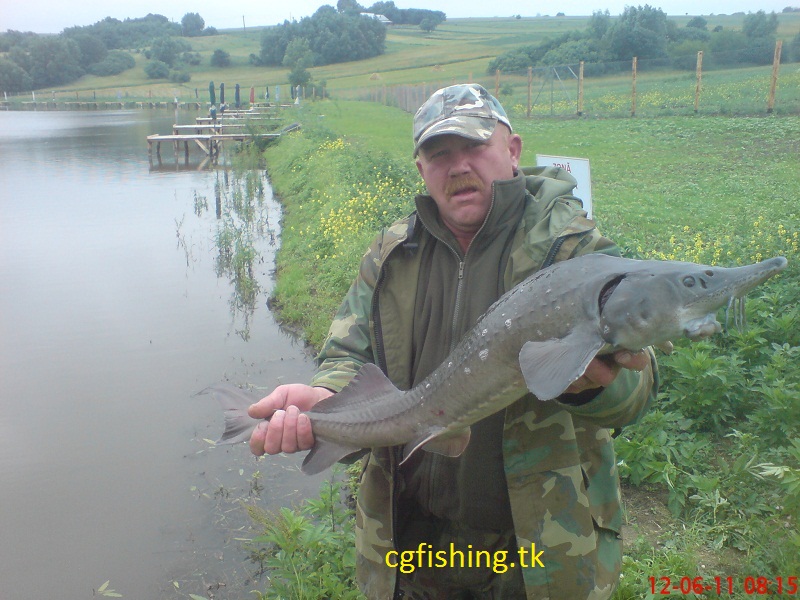 cgFishing : blog de pescar pentru pescari !: Pescuit la Cega pe Iazul ...