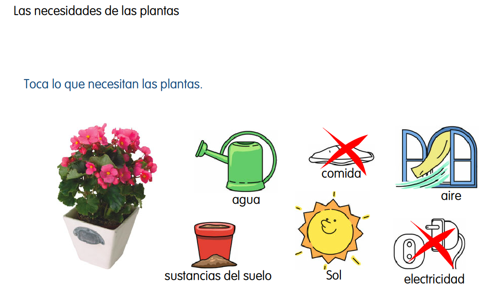 EL BLOG DE SEGUNDO: LAS PLANTAS (I)