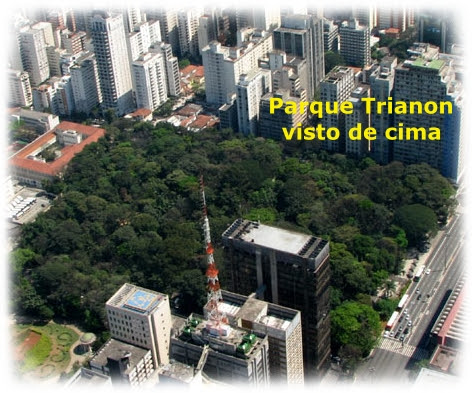Ação Natural Trilheiros: Curiosidades de São Paulo - o Parque Trianon?