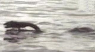 Predomínio do Terror : El Nahuelito - O Irmão Latino do Monstro do Lago ...