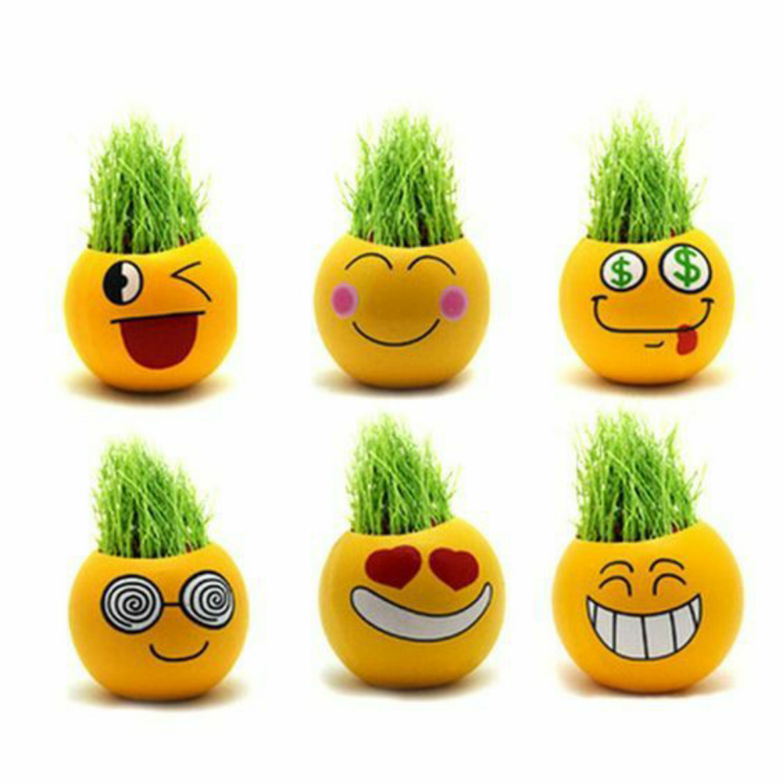 Pot Tanaman Lucu dan Unik - idrora