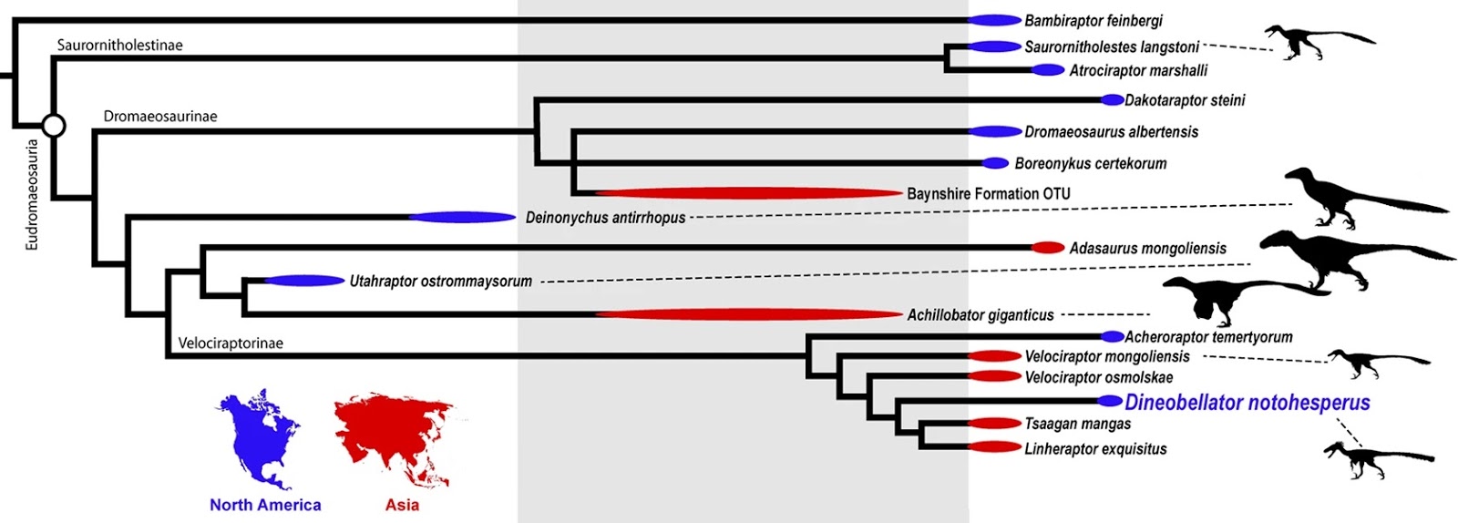 Species New to Science: [Paleontology • 2020] Dineobellator ...