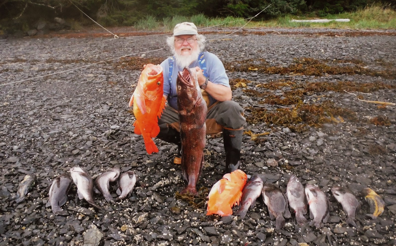 Alaska Fly Tyer: Salt water fly fishing, rockfish on a fly. Sitka Sept ...