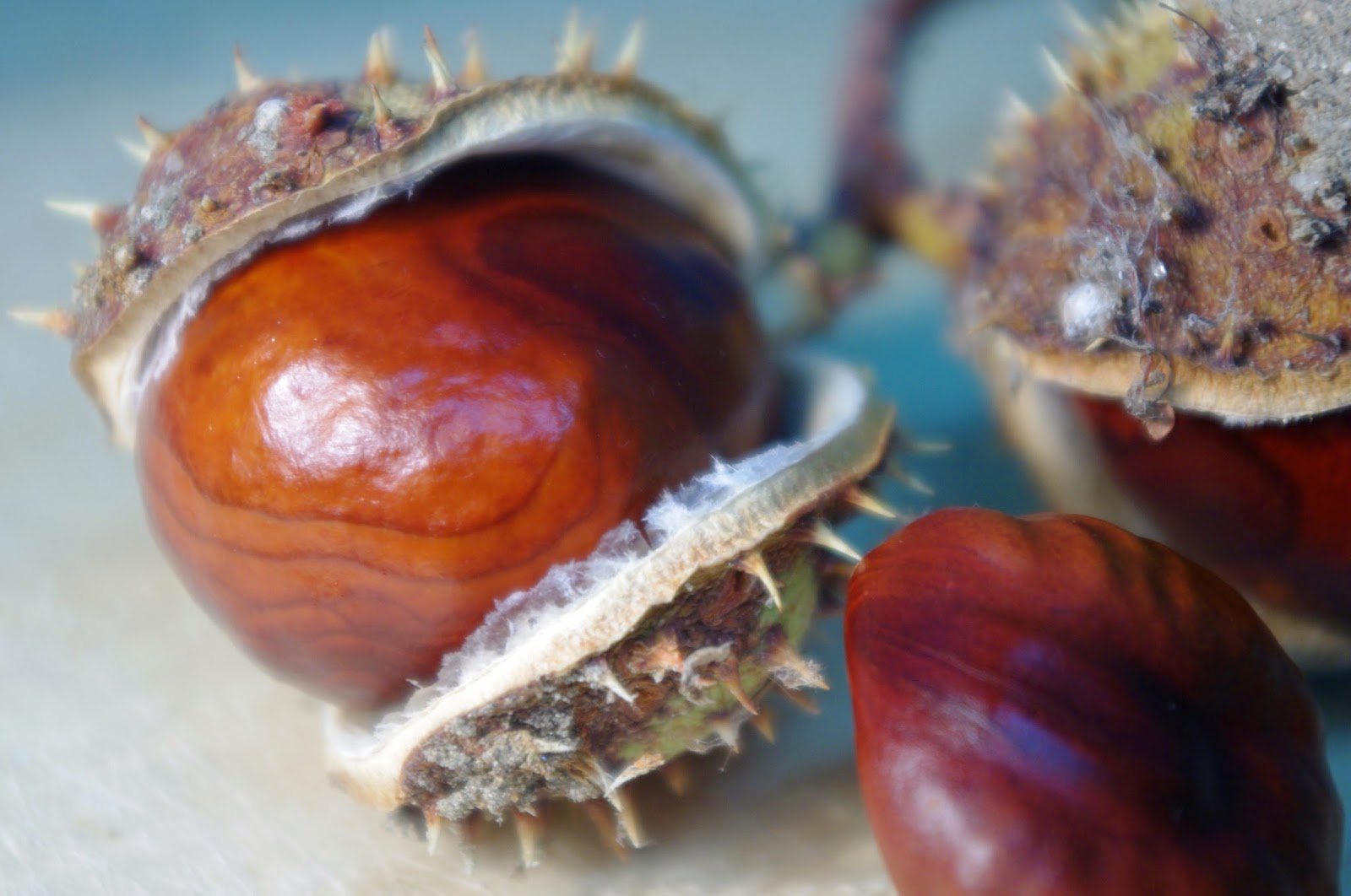 Explora Gourmet: Castañas asadas