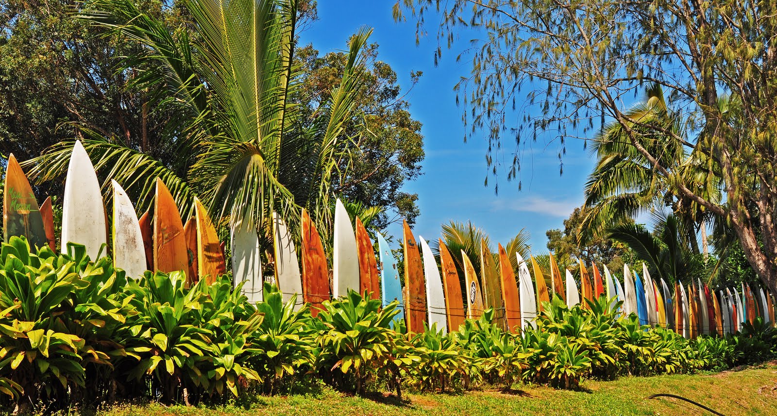 1000 Surfboard Graveyard: REUSE SURFBOARDS
