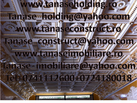 stucaturi-foita-de-aur-tapet-matase-zugraveli-interioare