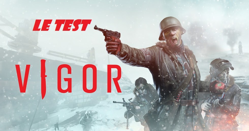 TEST - VIGOR sur Nintendo Switch