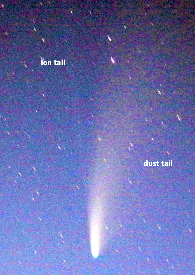 Birds of the Heath: Comet Neowise and its ion tail