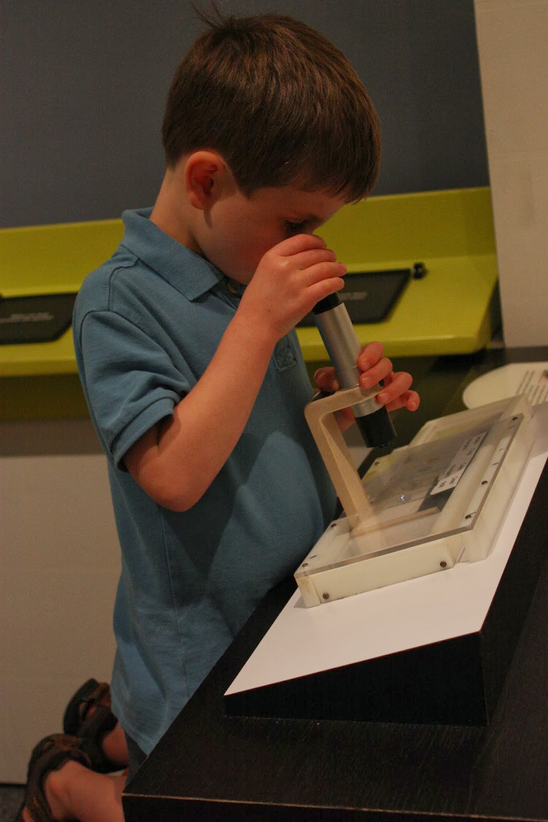 Cracker Crumb Chaos: Lately: Cub Scouts, Homework and Two Museums