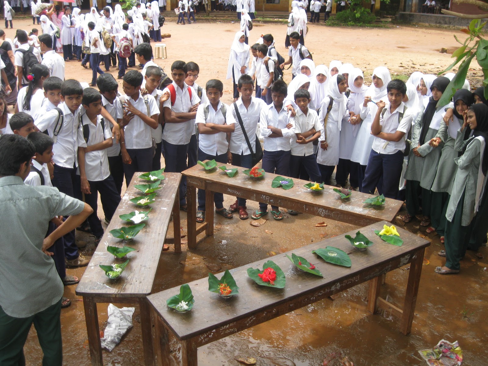 HIGHER SECONDARY NSS KASARAGOD: MY ACTIVITIES
