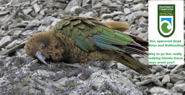 RACHELS-CARSON OF TODAY: THE 'AGENT ORANGE' OF AOTEAROA: 'ECOLOGICAL ...