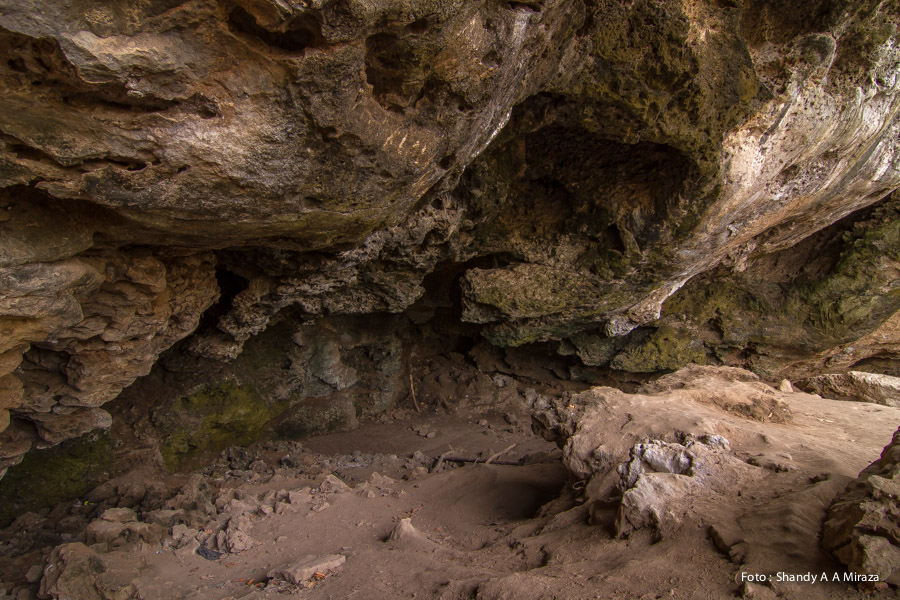 Goa "Lowo" Sampung Ponorogo - Wisata Indah