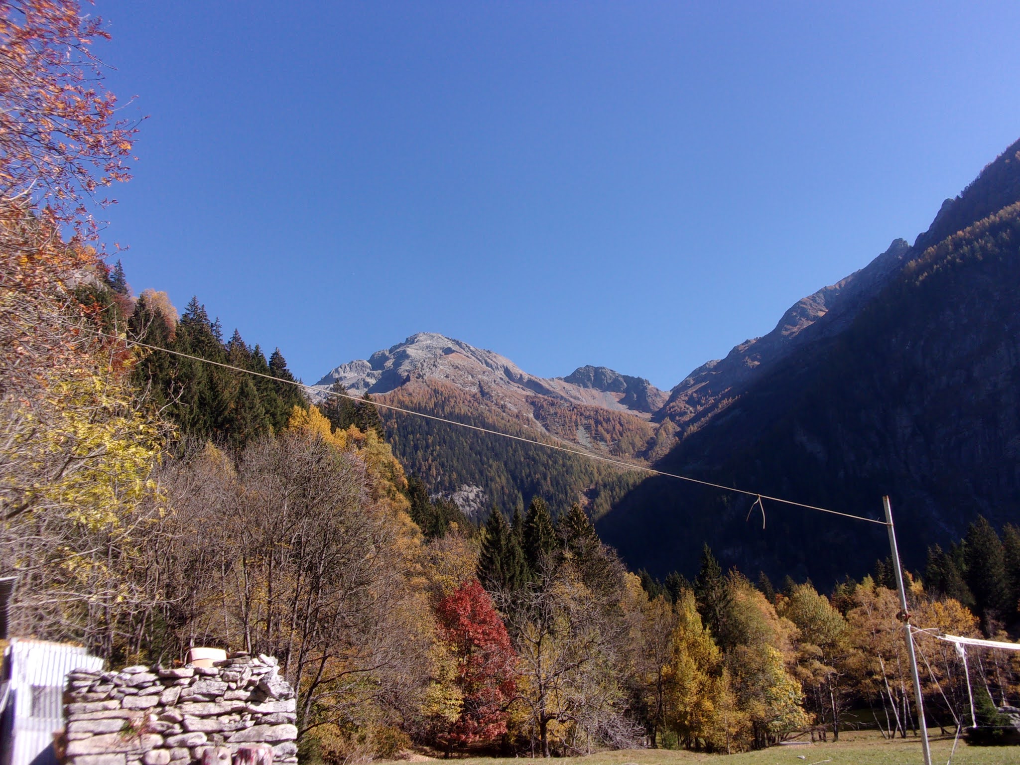 la baita della nonna: Antillone e le sue ninfee