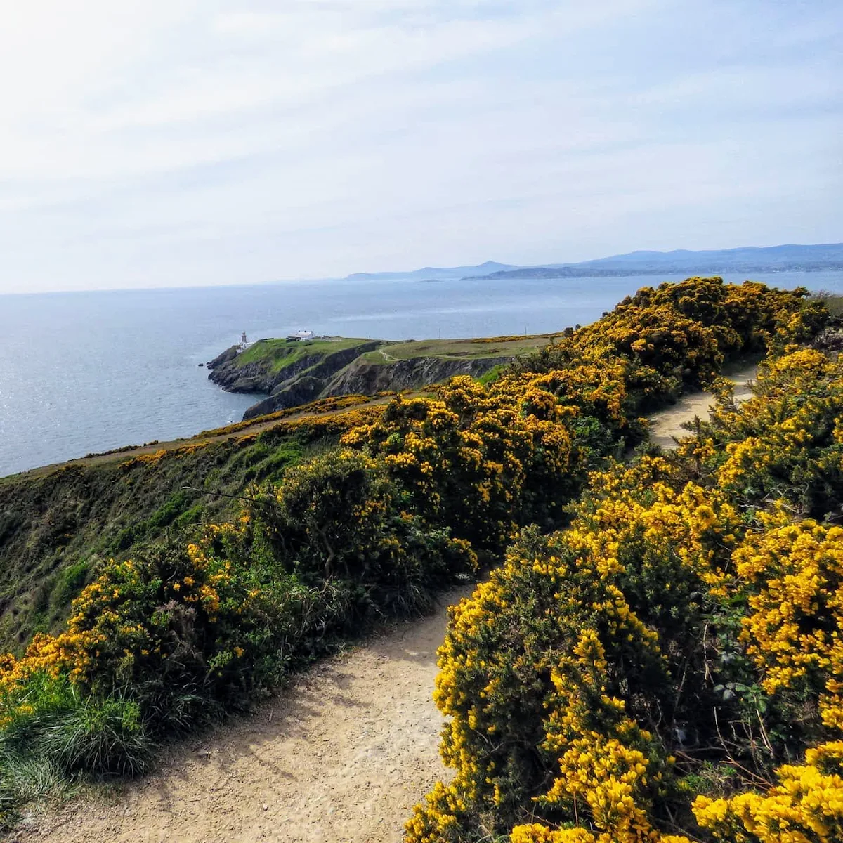 A Local's Guide to 21 of the Best Dublin Walks | Sidewalk Safari | Part ...