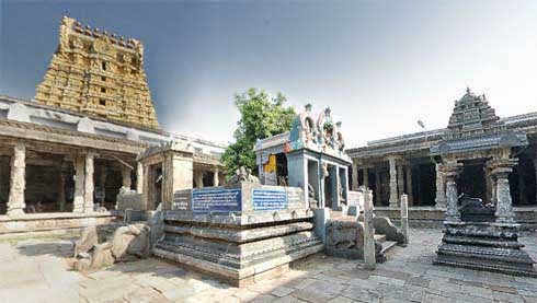 Mango Tree at Ekambaranathar Temple at Kanchipuram – The Story of the ...
