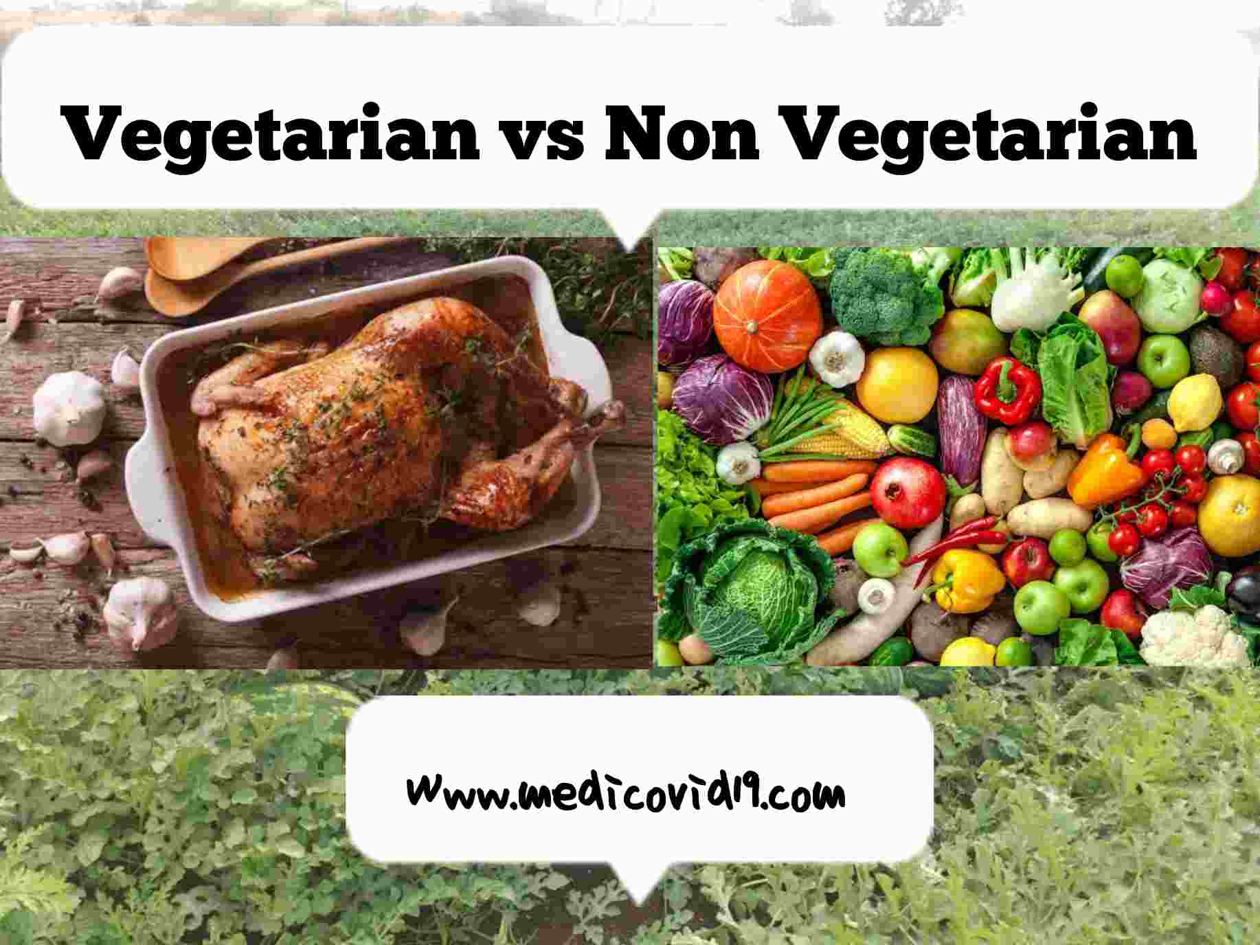 10 Facts On Vegetarian Vs Non Vegetarian Food Selection