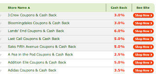 The HBIC Movement: My Best Online-Shopping, Money-Saving Secret!