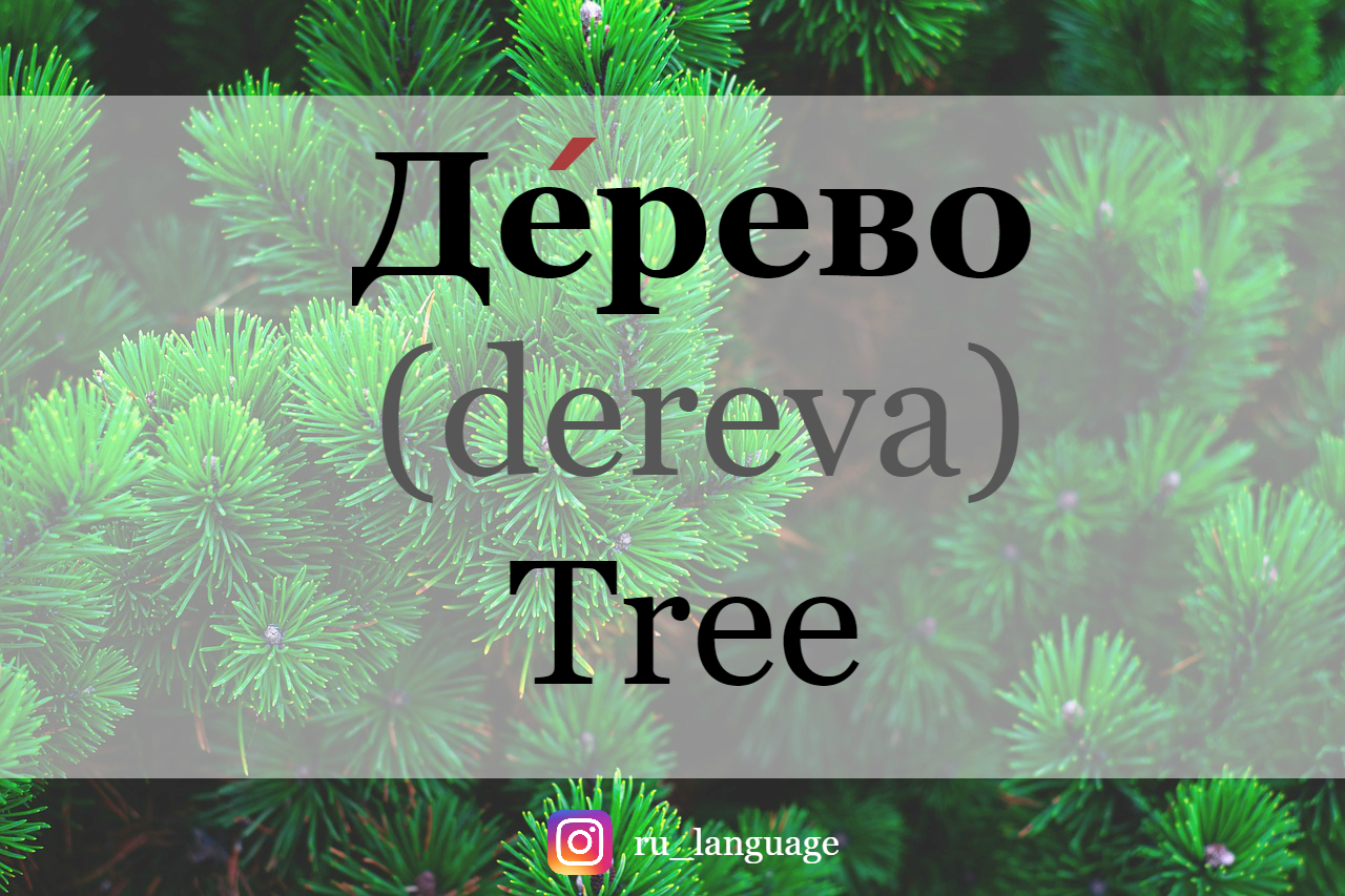 Privet Russian Privet Russian