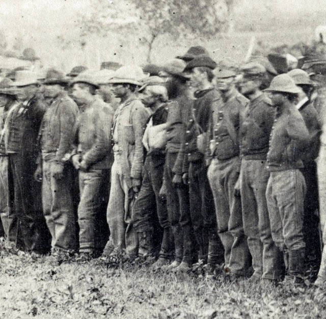 THE SOUTH'S DEFENDER