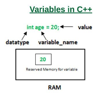 C++ Variables, Literals and Constants