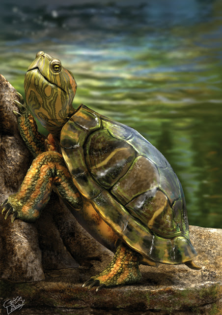 DIGITAL ART GALLERY : CRIS DELARA