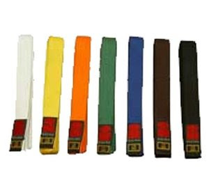 Tingkatan Sabuk Dalam Karate - Info Karate