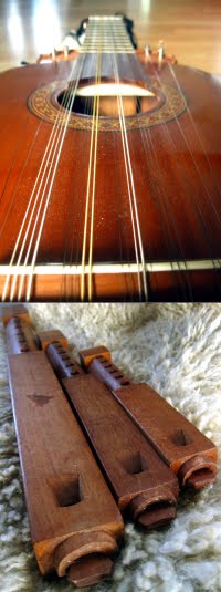 Polyana & Orlando / Traditional and Modern Music from Chile: Instruments