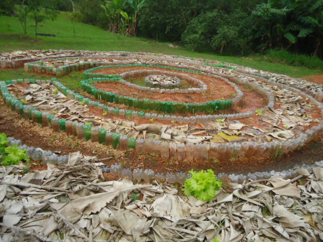 Escola Sustentável: Horta mandala