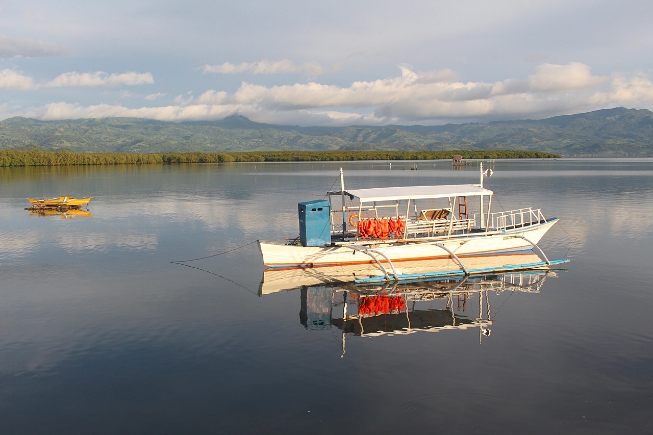 Dolphin Spotting in Bais, Negros Oriental - Nomadic Experiences