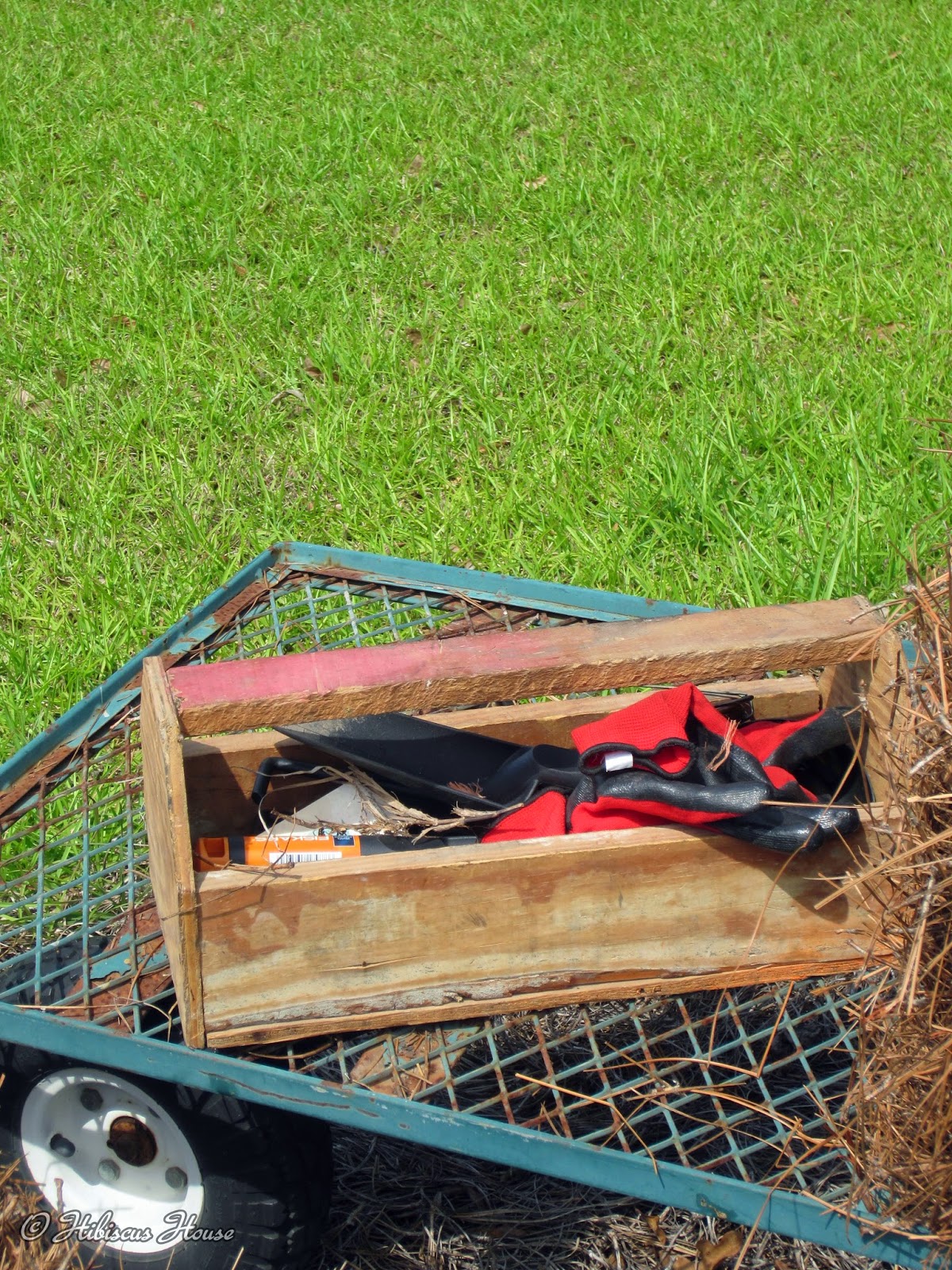 Hibiscus House: Pine Straw by the Truckload!