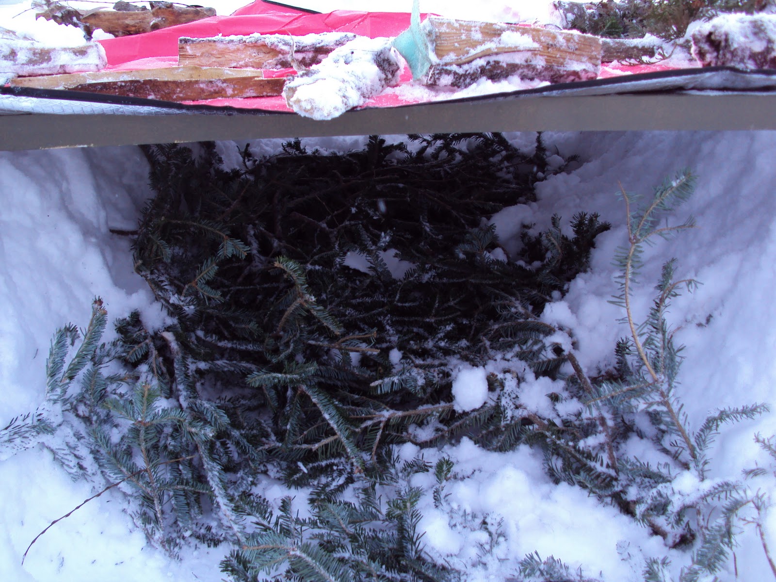 Bens Blog: Winter Survival Shelter: The snow trench