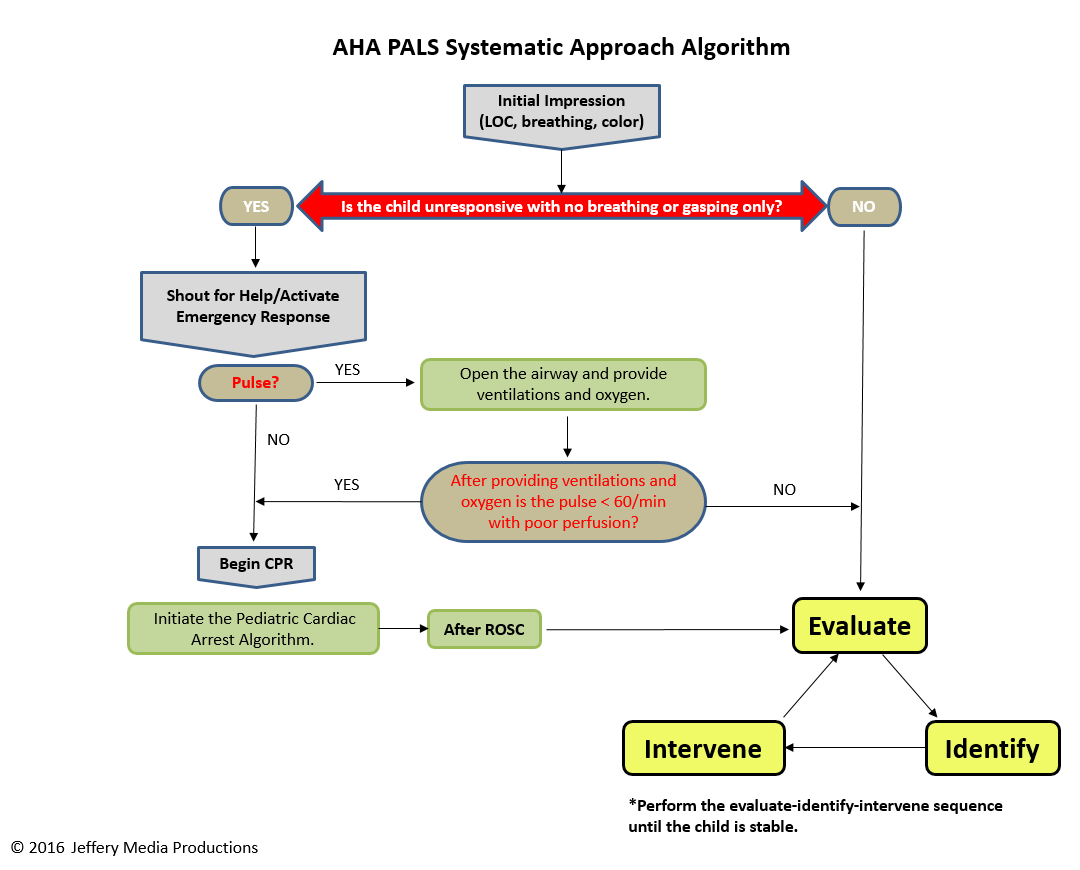 PALS(PEDIATRIC ADVANCED LIFE SUPPORT) ALGORITHMS