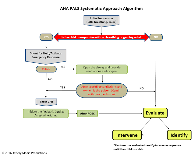 PALS(PEDIATRIC ADVANCED LIFE SUPPORT) ALGORITHMS