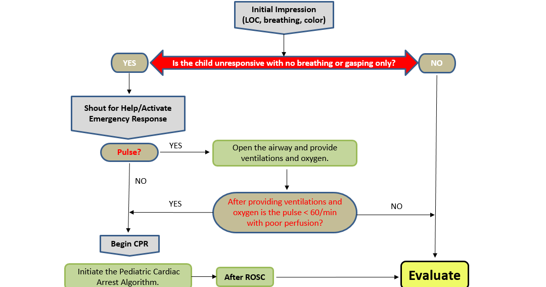Pals(pediatric Advanced Life Support) Algorithms