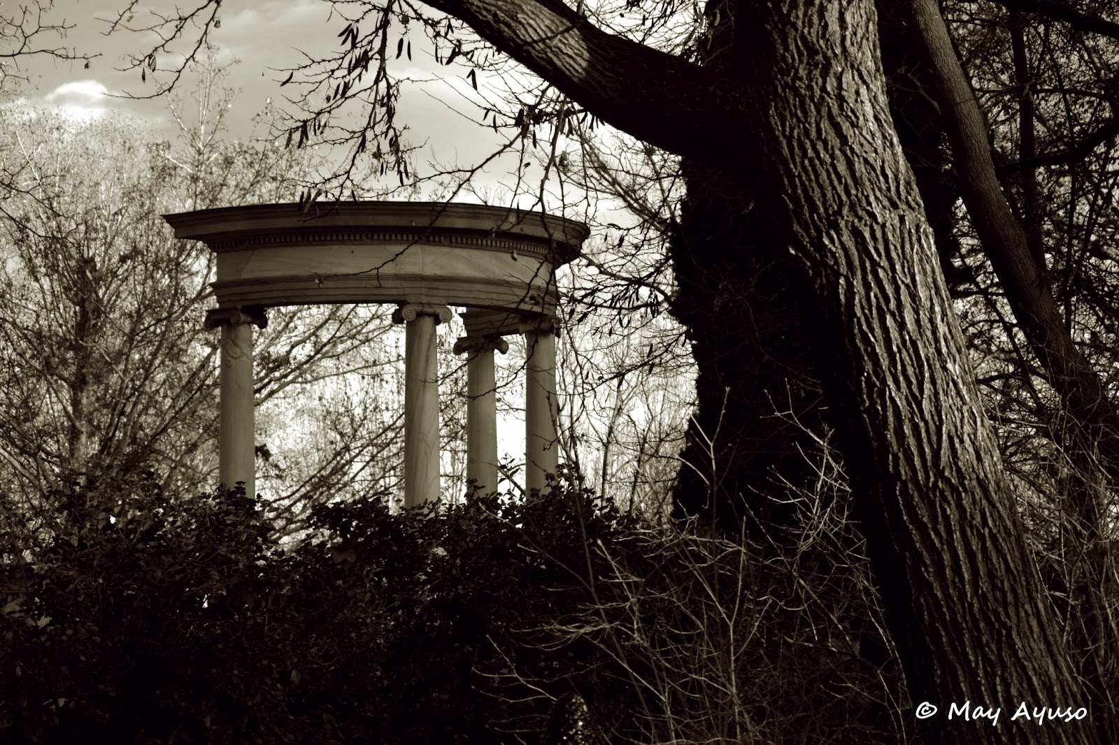 Little Bites Of This & ....: La Exedra