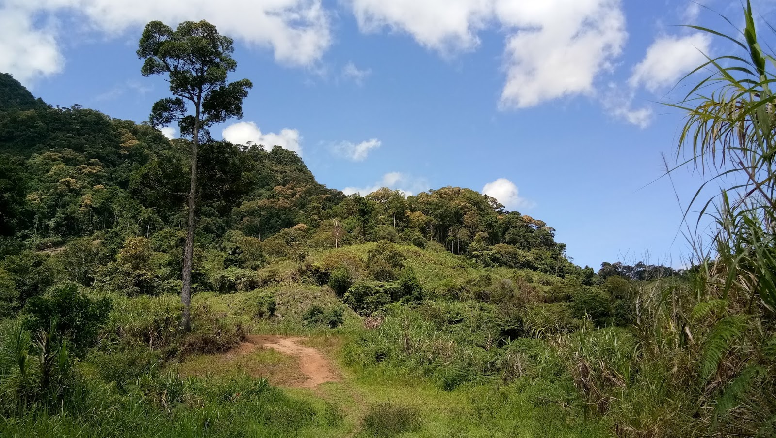 TREKERO: MACHALET FALLS: Hidden Silver Lining of Nueva Vizcaya