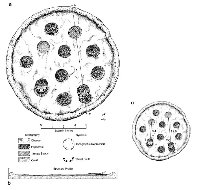 Detailed structural analysis of a pizza