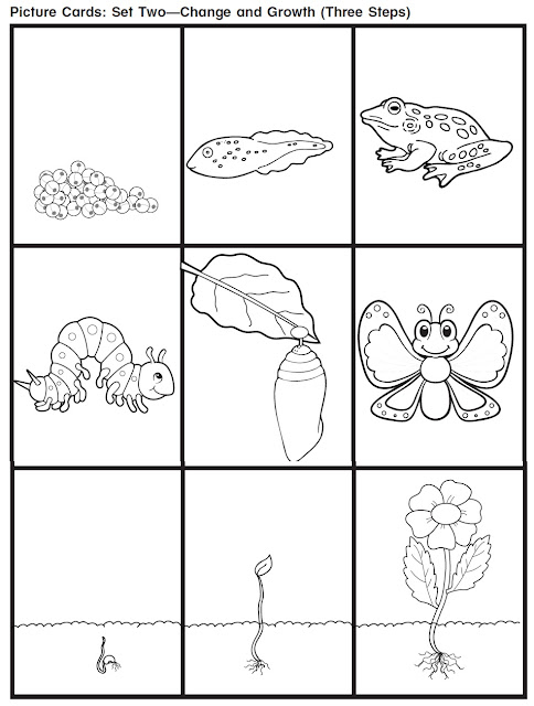 los Seres Vivos: ACTIVIDAD # 2