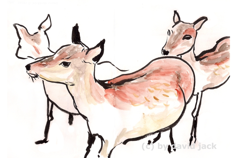 Urban Sketchers Australia: An Australian Urban Sketcher in Japan