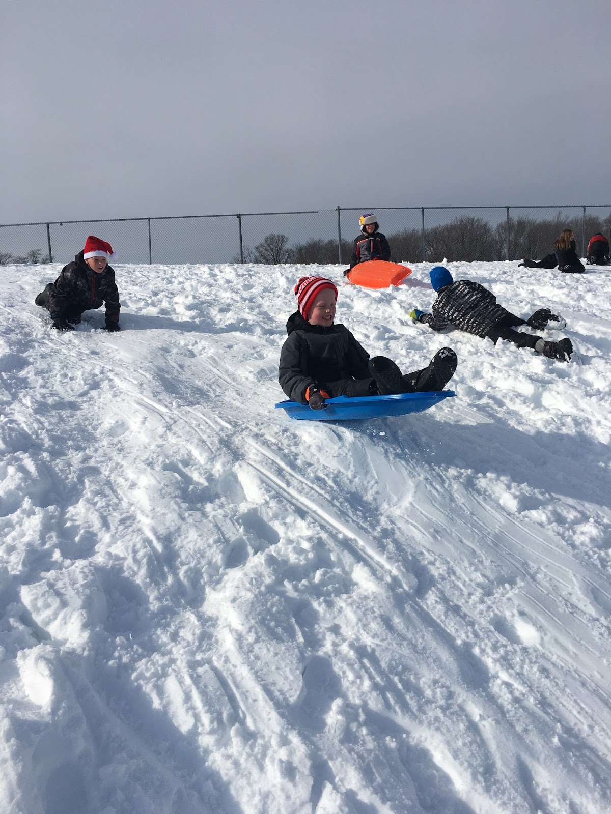 Mrs. Smith's classroom blog: All School Sledding